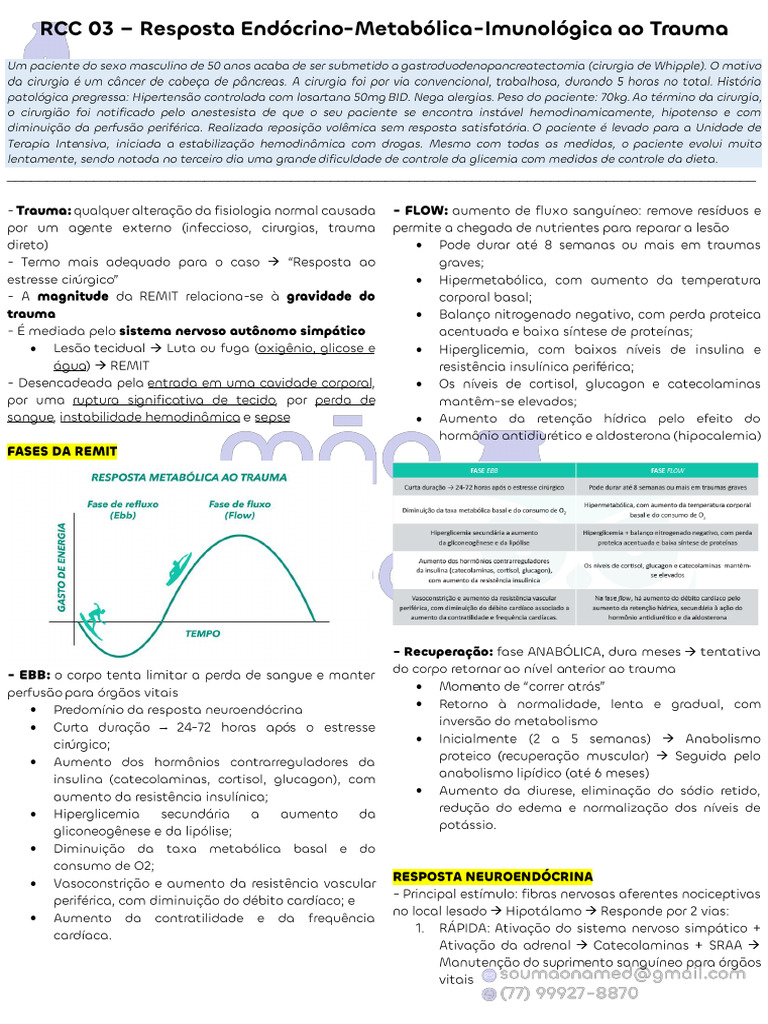 RCC 03 - REMIT | PDF