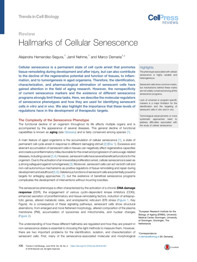 Hallmarks of Cellular Senescence | PDF | Dna Repair | Apoptosis