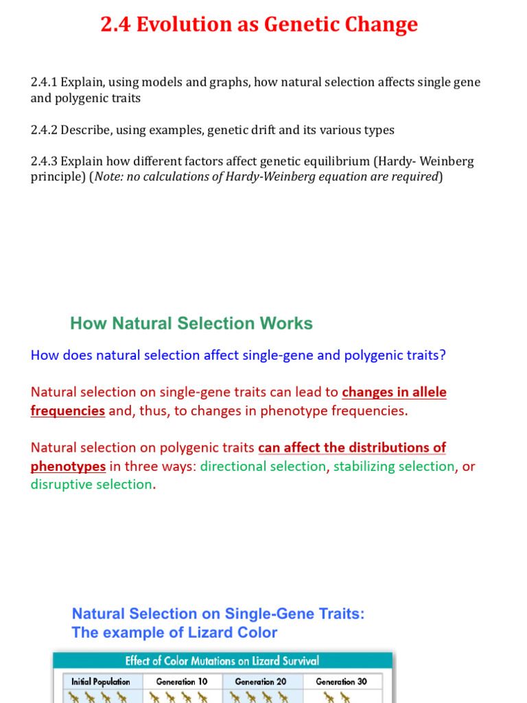 2.4 Evolution As Genetic Change | PDF | Natural Selection | Fitness ...