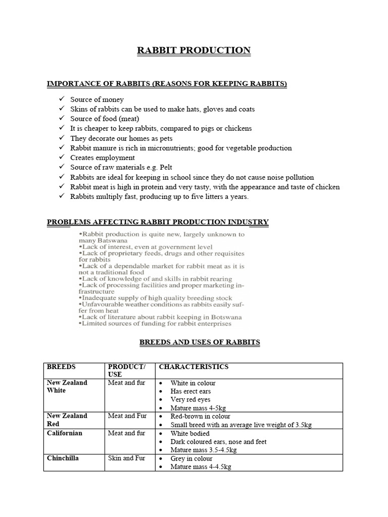 Rabbit Production | PDF | Rabbit | Meat