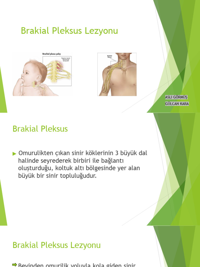 Brakial Pleksus Lezyonu AslıGülcan | PDF