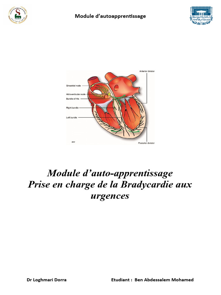 Prise en charge de la bradycardie aux urgences | PDF | Cœur | Fréquence ...