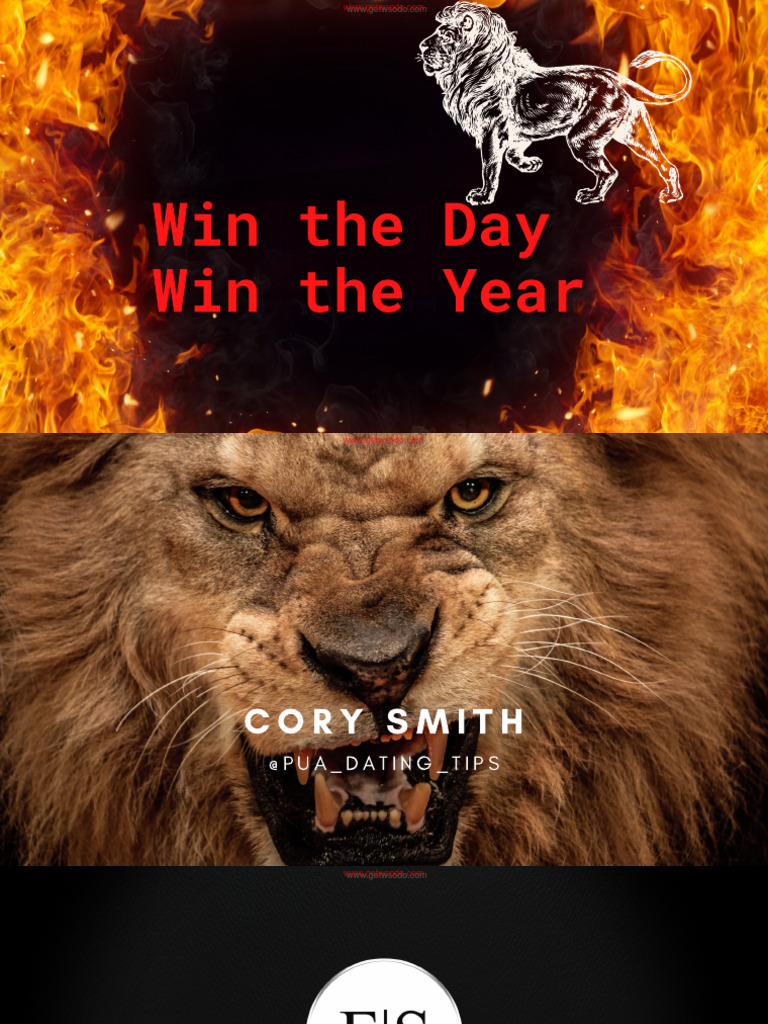 06-Win The Day - Win The Year | PDF | Habits | You Tube