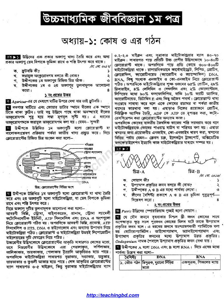 HSC (Test Paper) | PDF