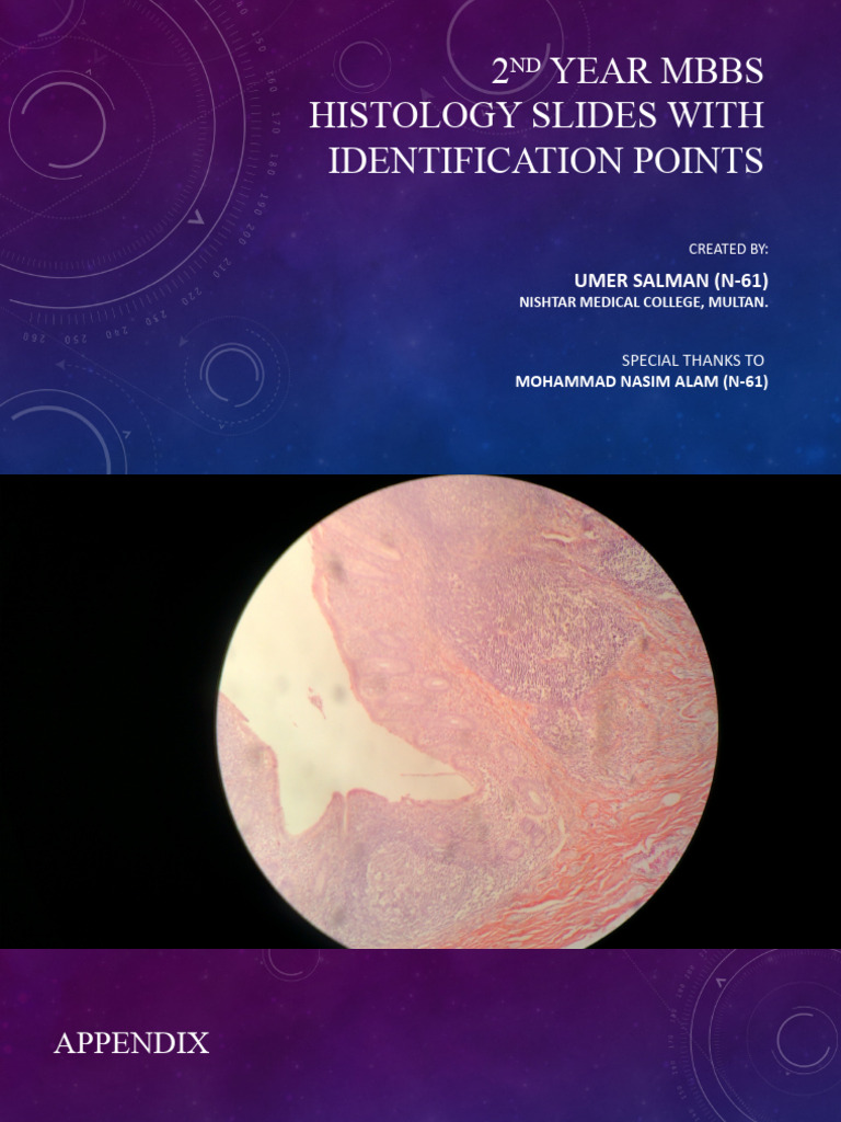 Histology Slide Identification Guide | PDF | Epithelium | Liver