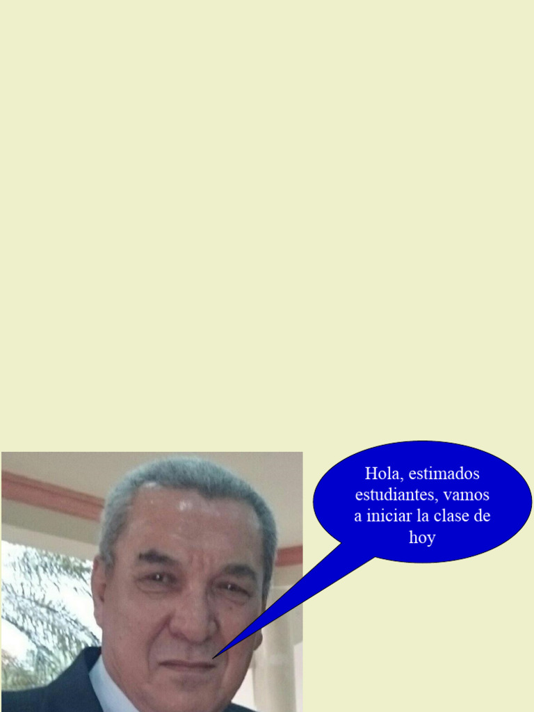 Anatomía Digestiva del Caballo | PDF | Estómago | Esófago