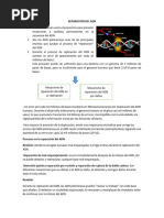 Mecanismos de Reparación de Daños en La Molécula de Adn | PDF | Reparación de adn | Adn