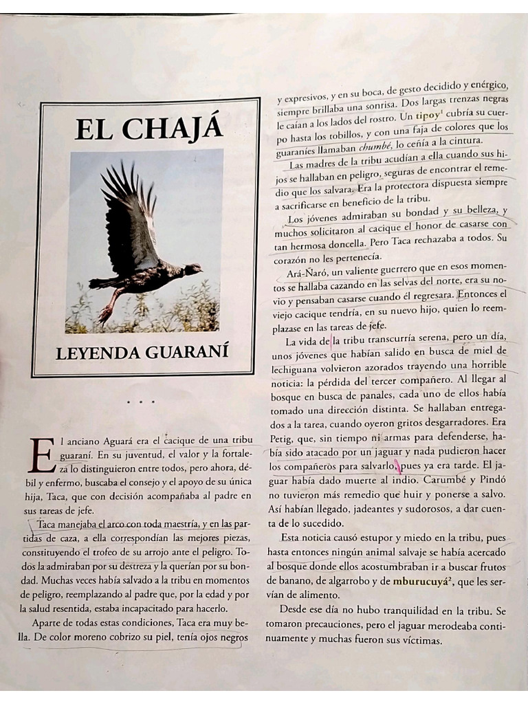 Leyenda Del Guaraní El Chajá | PDF