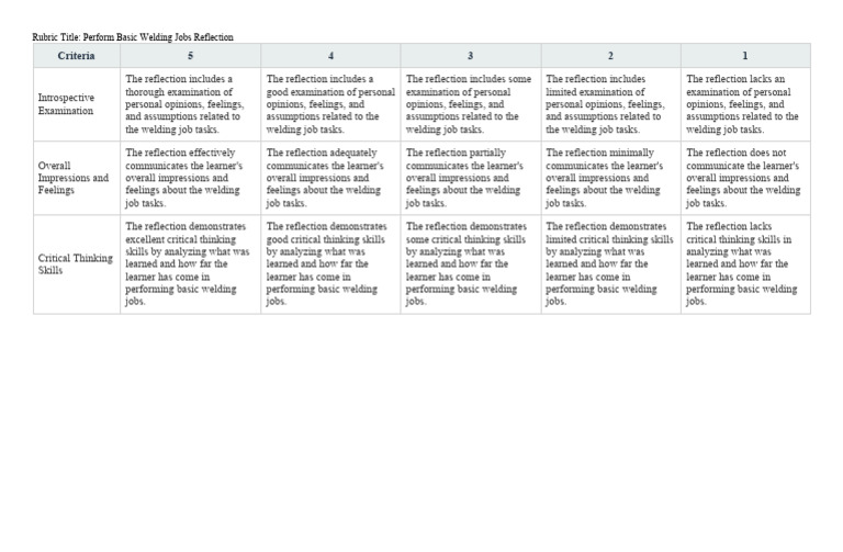 Reflection Rubrics | PDF | Critical Thinking | Learning