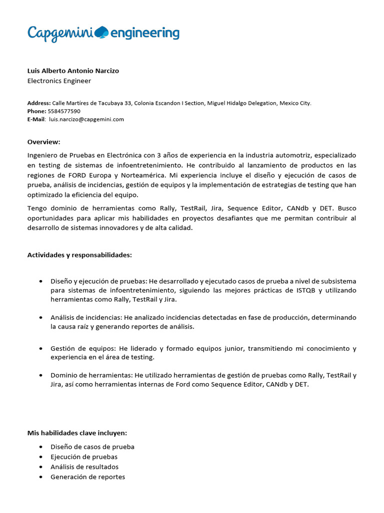 Overview Capgemini - Luis Alberto Antonio Narcizo (Done) | PDF ...