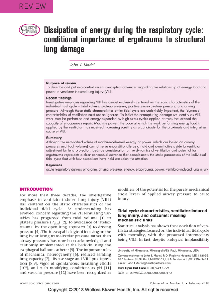 Dissipation of Energy During The Respiratory Cycle: Conditional ...