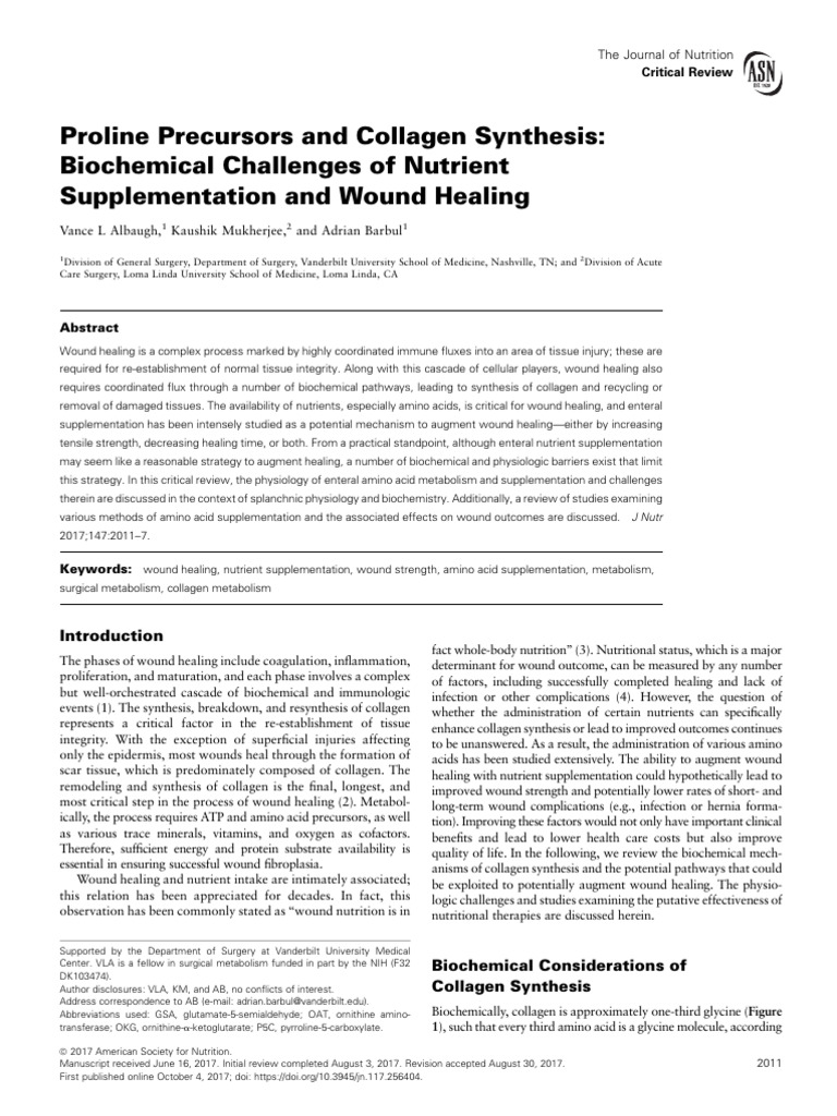 Proline Precursors and Collagen Synthesis Biochemical Challenges of ...