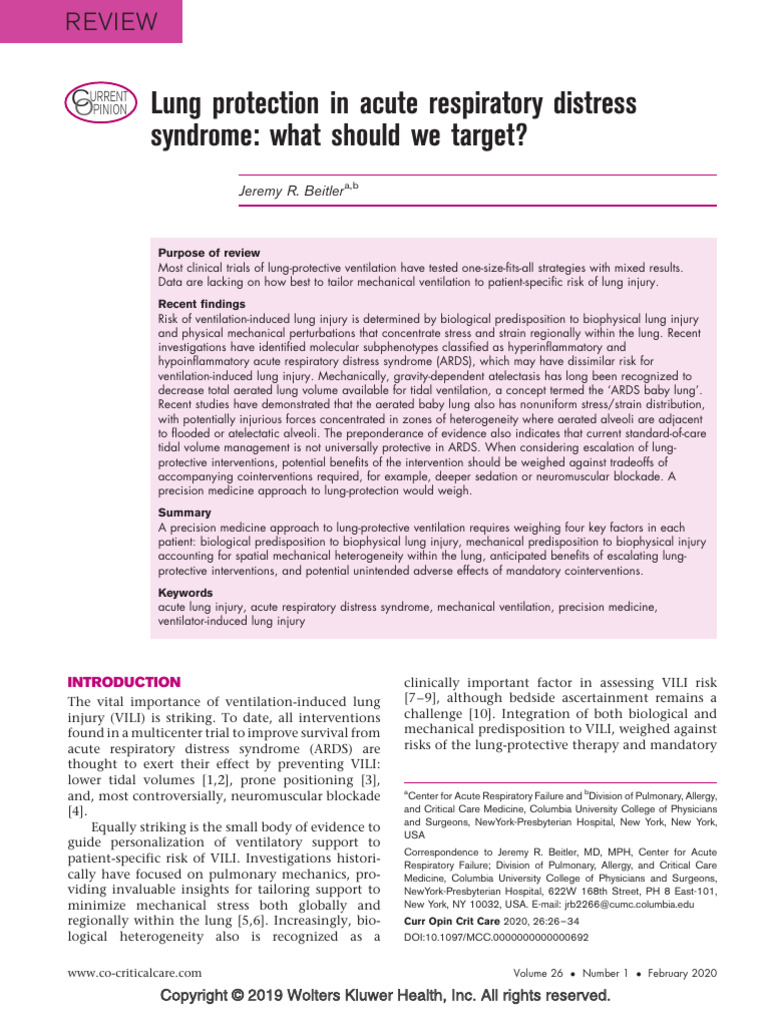 Lung Protection in Acute Respiratory Distress Syndrome: What Should We ...