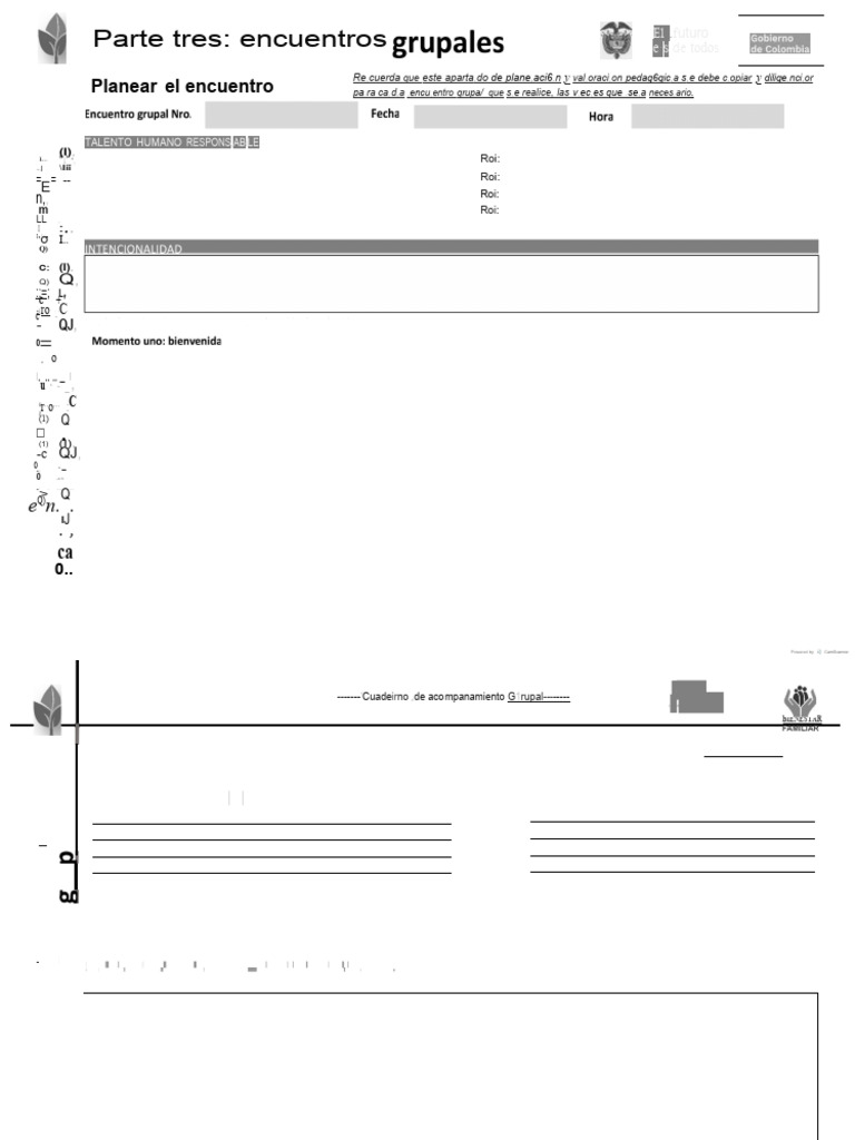 Formato de Acompañamiento Grupal | PDF
