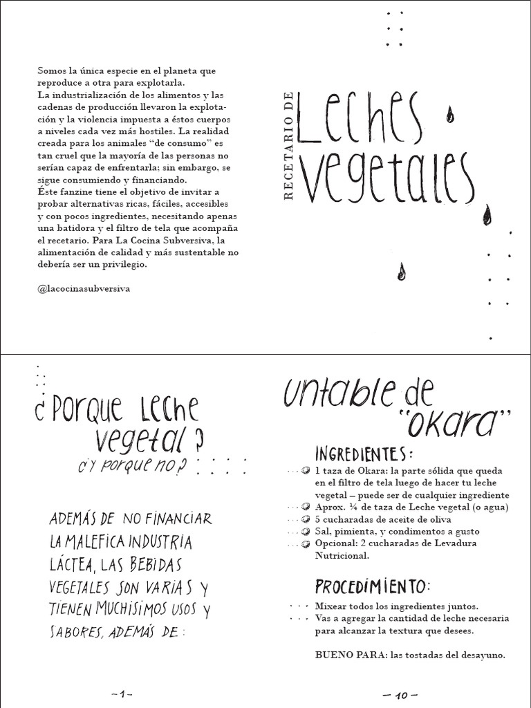 Leches Vegetales | PDF | sal | Alimentos