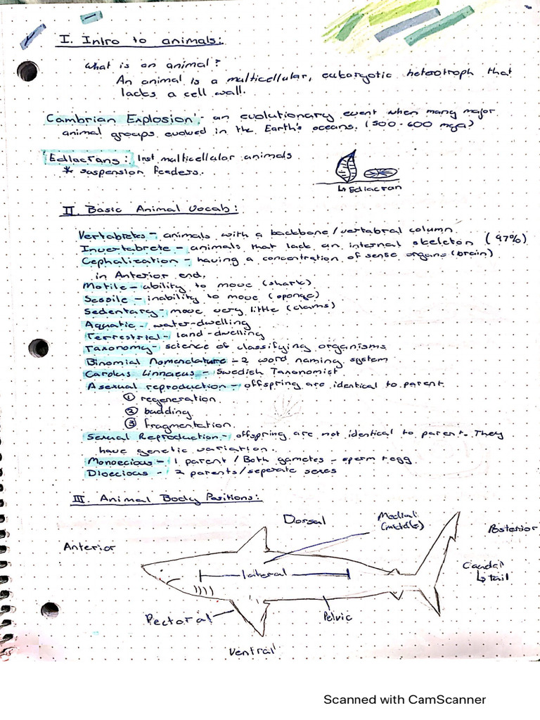 Zoology Notes | PDF