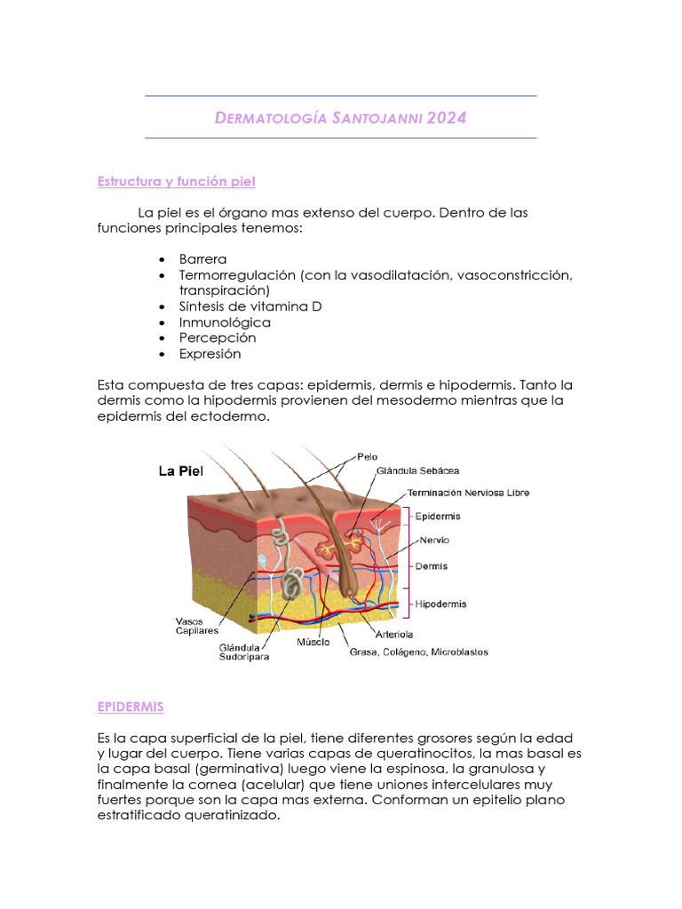 Dermato | PDF | Epidermis | Piel