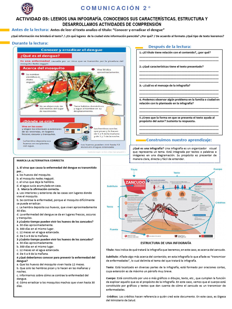 Actividad 3 | PDF | Mosquito | Infografia