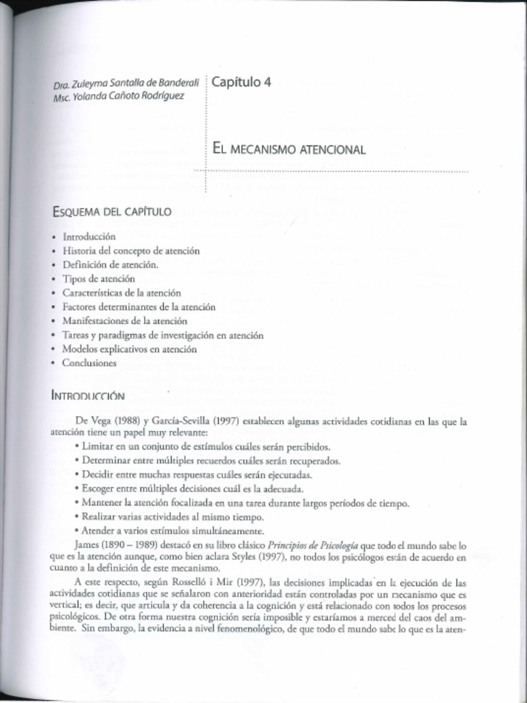Mecanismo Atencional Cap4-1 | PDF