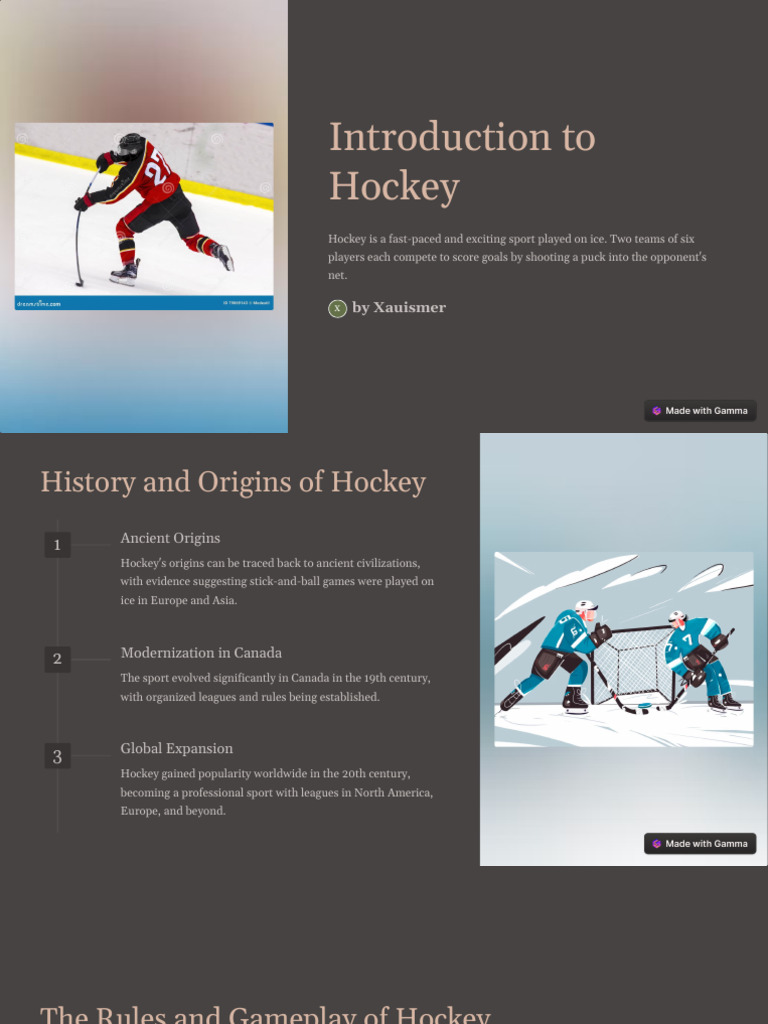 Introduction To Hockey | PDF | Ice Hockey | Team Sports