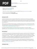 Prostatitis y epididimoorquitis: Guía clínica | PDF | Próstata ...