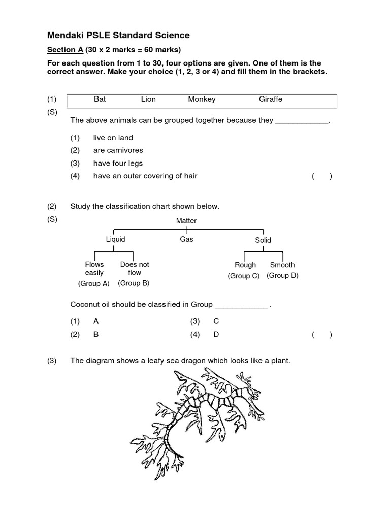 2016 - PSLE Science S Paper II - Final | PDF | Breathing | Potential Energy