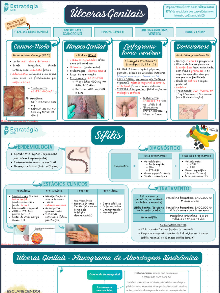 Úlceras Genitais - Mapa Mental | PDF | Especialidades médicas ...