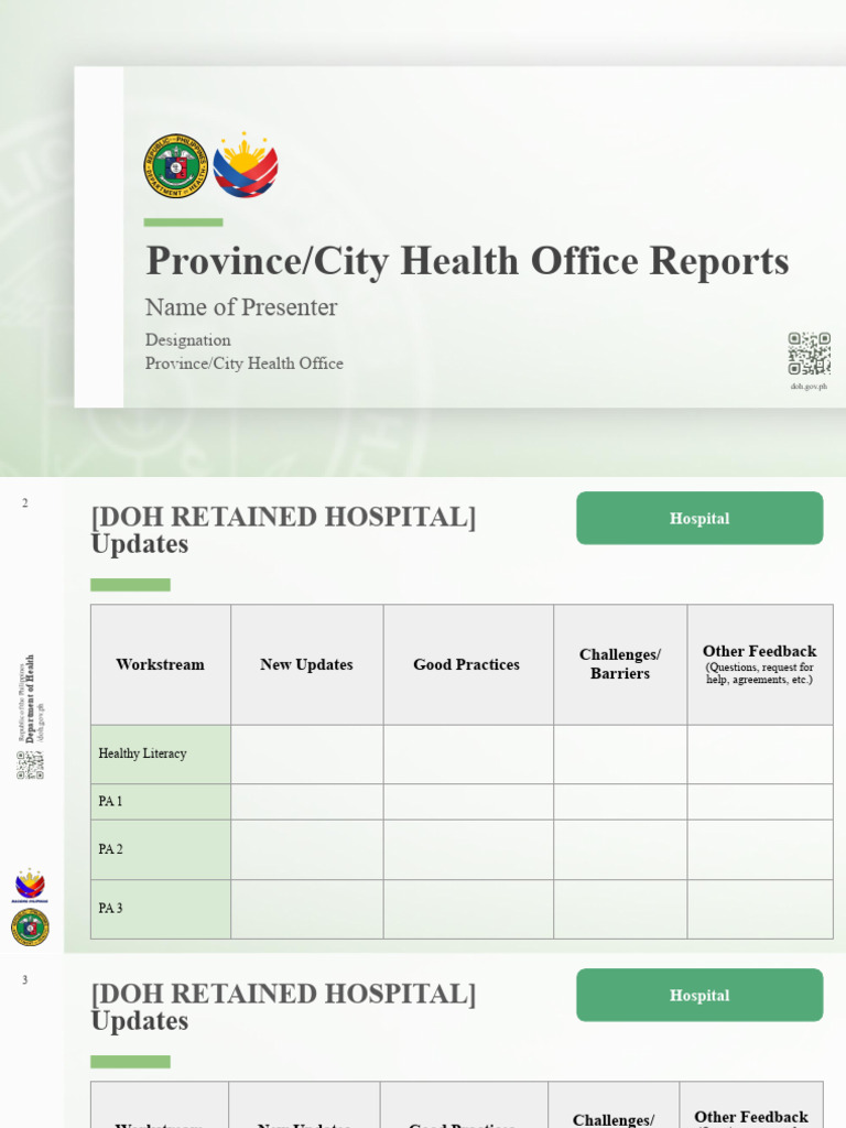 HEPOs Reporting Template 4 | PDF | Health Care | Public Sphere