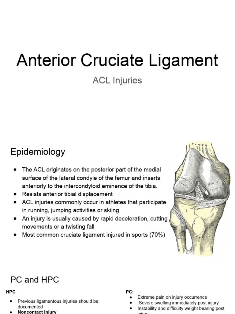 Anterior Cruciate Ligament: ACL Injuries | PDF | Knee | Musculoskeletal ...