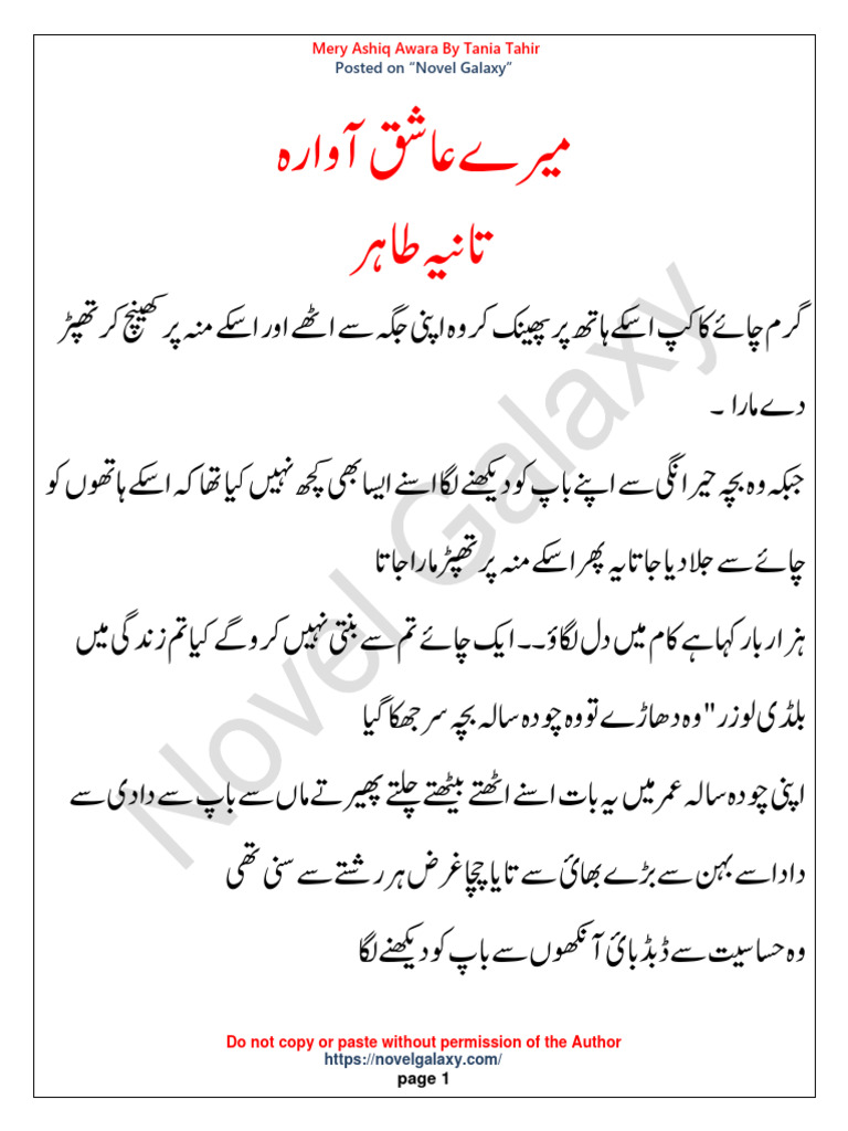 Mery Ashiq Awara by Tania Tahir | PDF