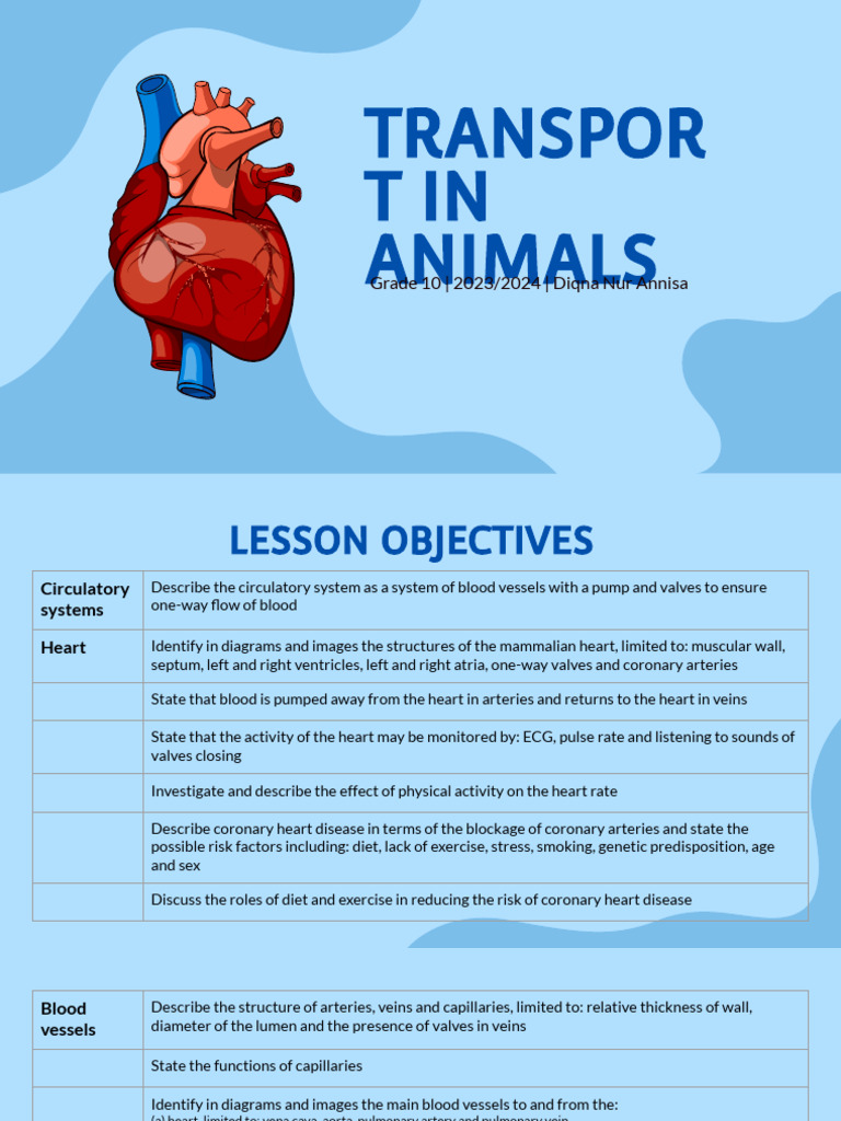 G.10 - Chapter 9 - Transport in Animals 2 | PDF | Heart Valve ...