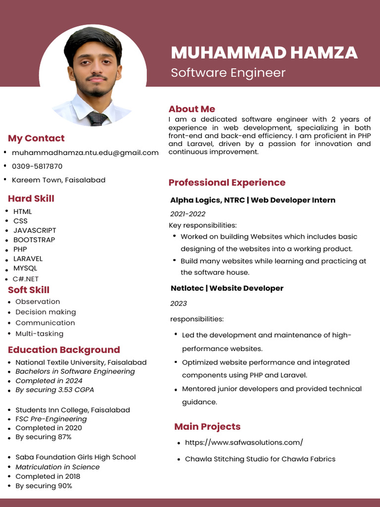 Muhammad Hamza: Software Engineer | PDF