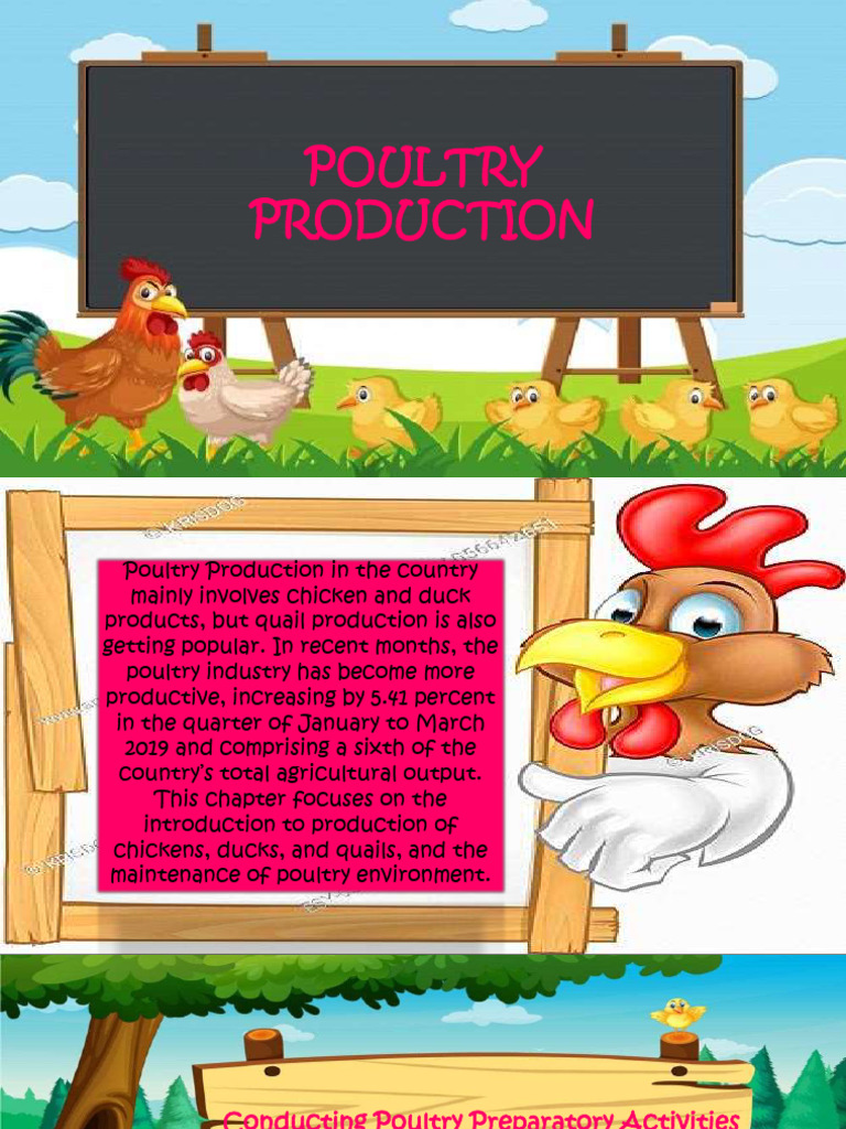 q4 Grade 7 Lesson 2 | PDF | Poultry Farming | Chicken