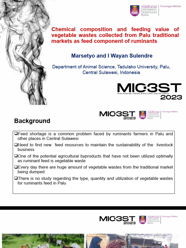 MIC3ST2023 PPT Marsetyo Et Al 2023 | PDF | Cucurbita | Cabbage