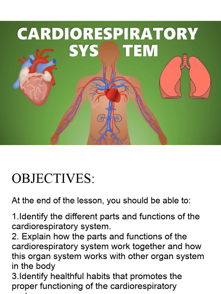 Cardiorespiratory System | PDF | Career & Growth