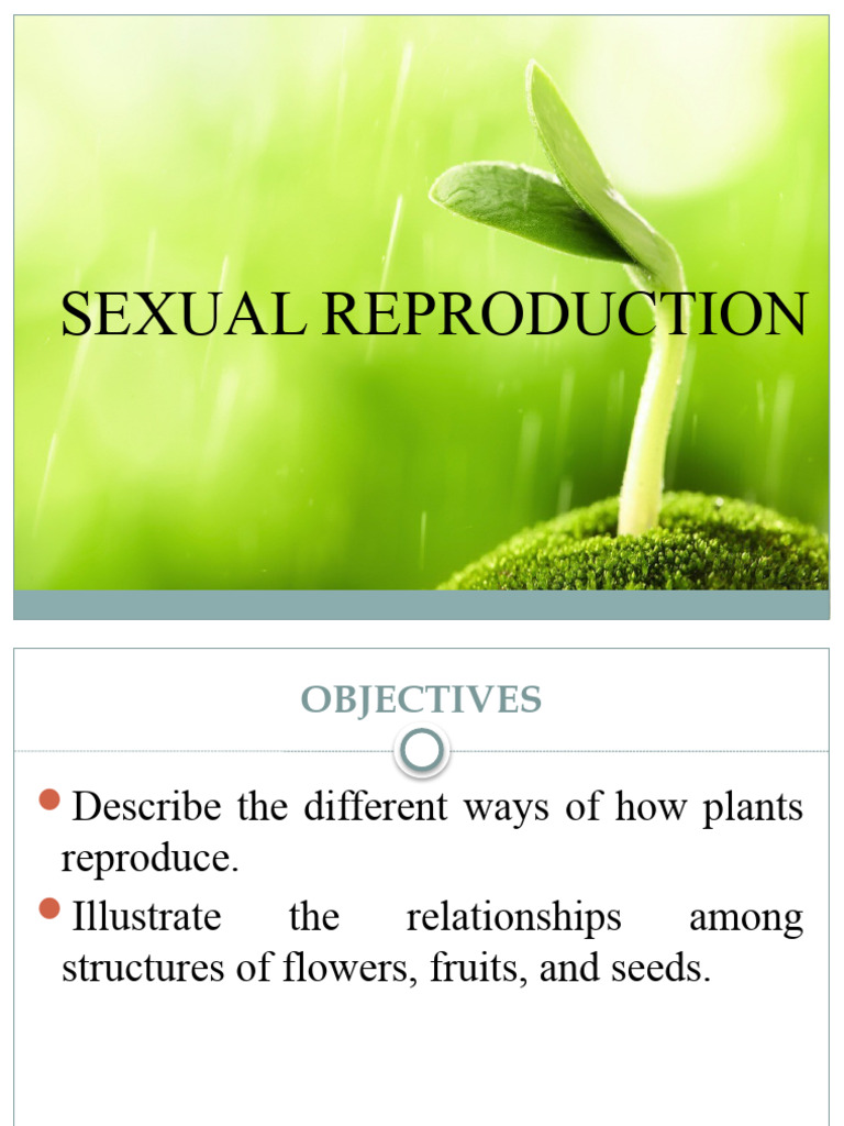 MODULE 7 SEXUAL REPRODUCTION | PDF | Flowers | Fertilisation