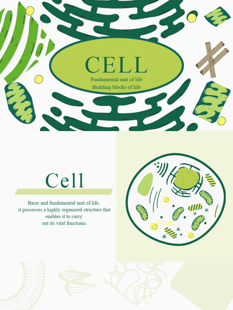 Module 4-5 Cells | PDF | Cell (Biology) | Chloroplast