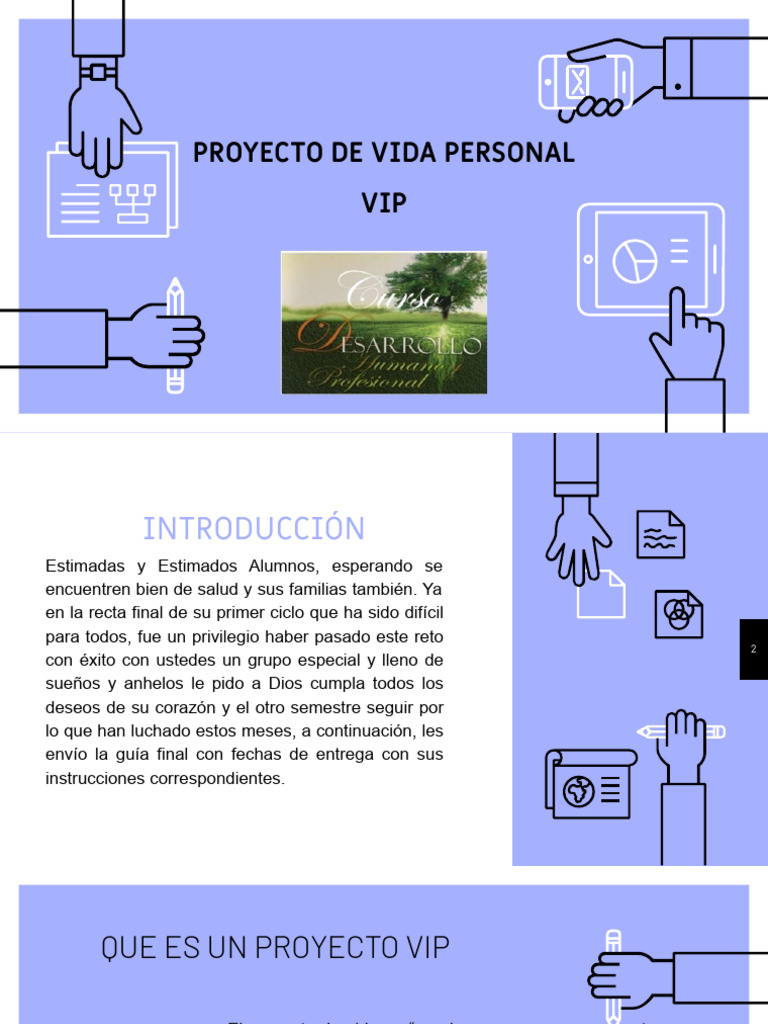Instrucciones Del Proyecto Vip | PDF | Motivación | Motivacional