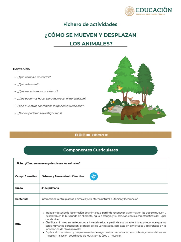 Ficha - 3° - ¿Como Se Mueven y Desplazan Los Animales | PDF | Esqueleto ...