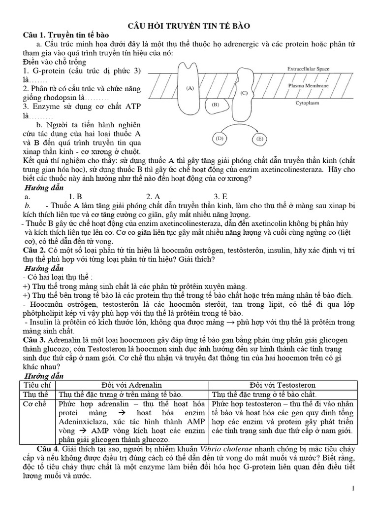 5. Câu hỏi Truyen - tin - TB 1819 | PDF