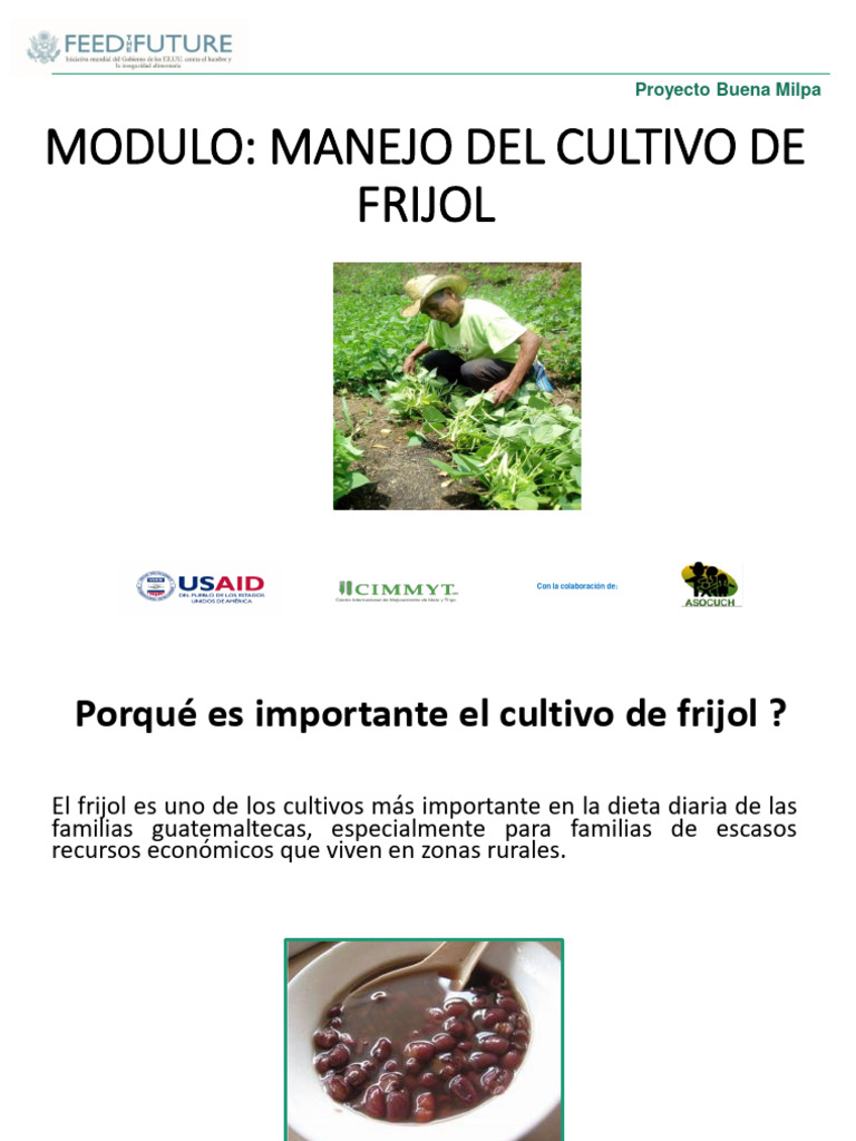 Modulo Manejo Cultivo de Frijol | PDF | Siembra | Fertilizante