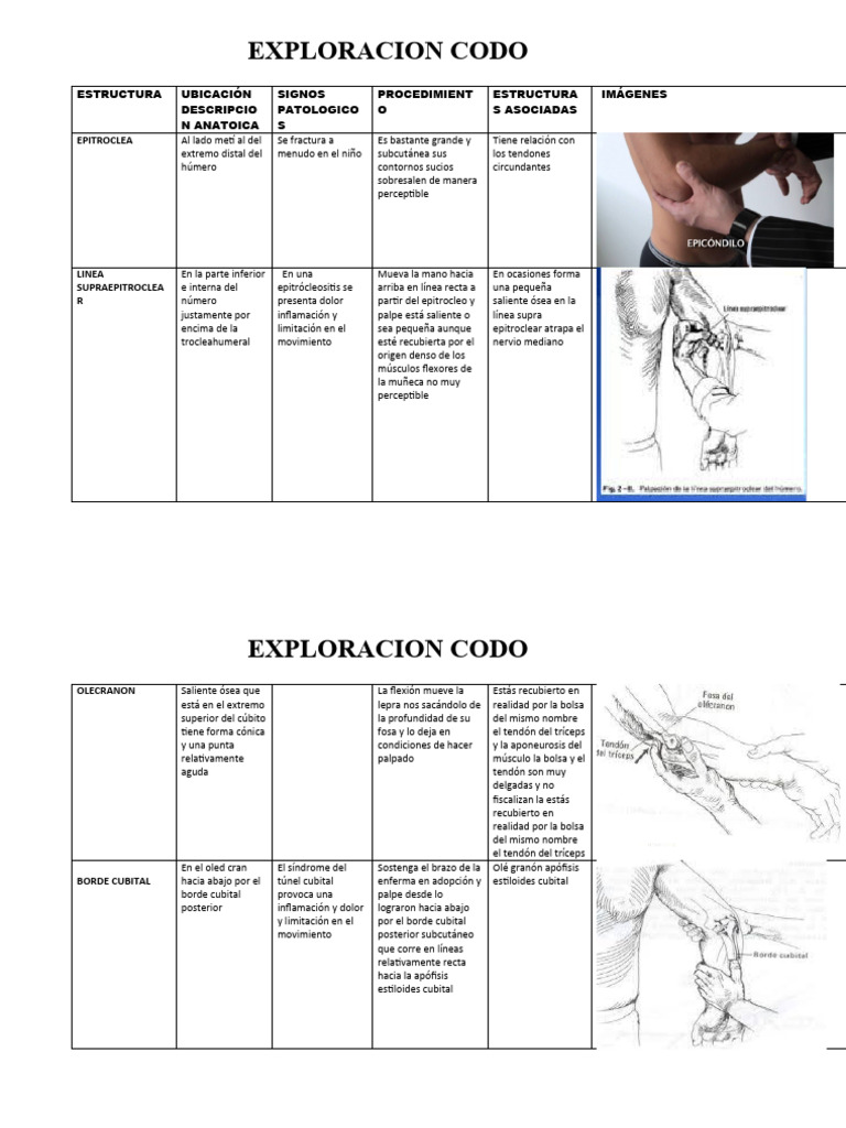 Exploracion Codo | PDF | Codo | Mano