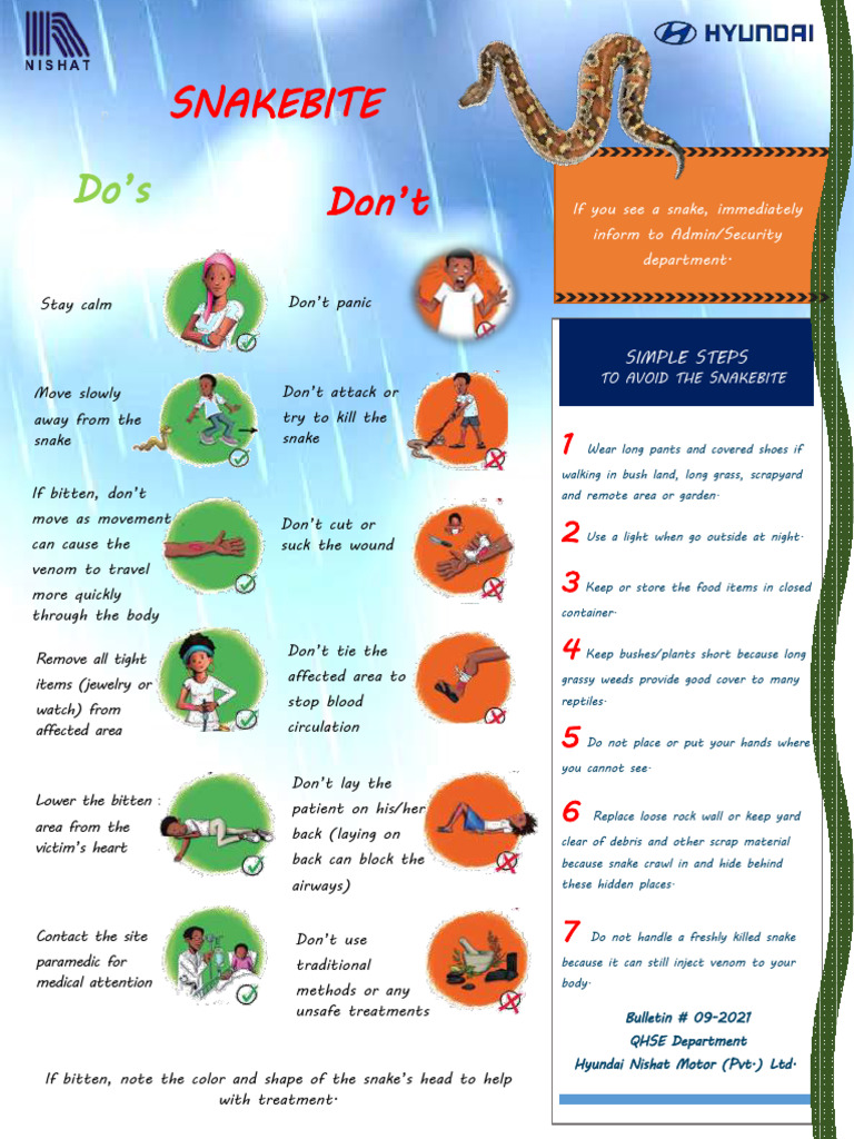 Snake Alerts | PDF | Snake