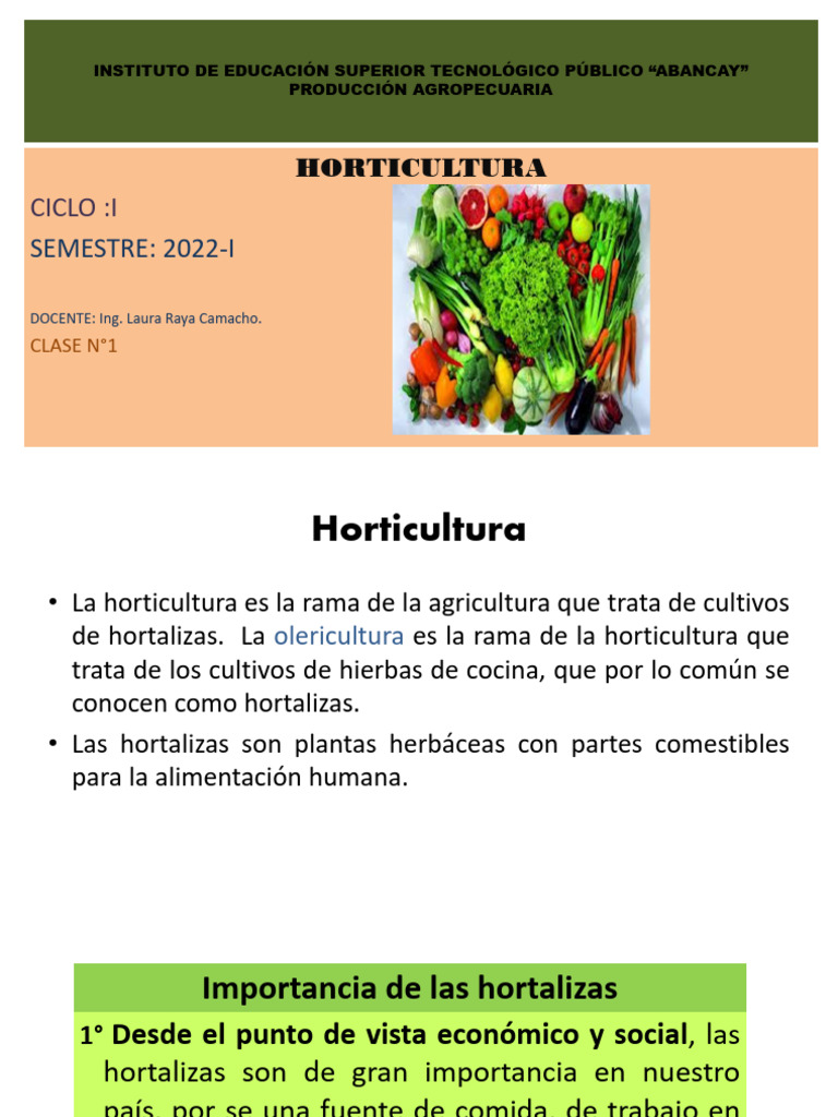 Clase 1 Horti 2022 | PDF