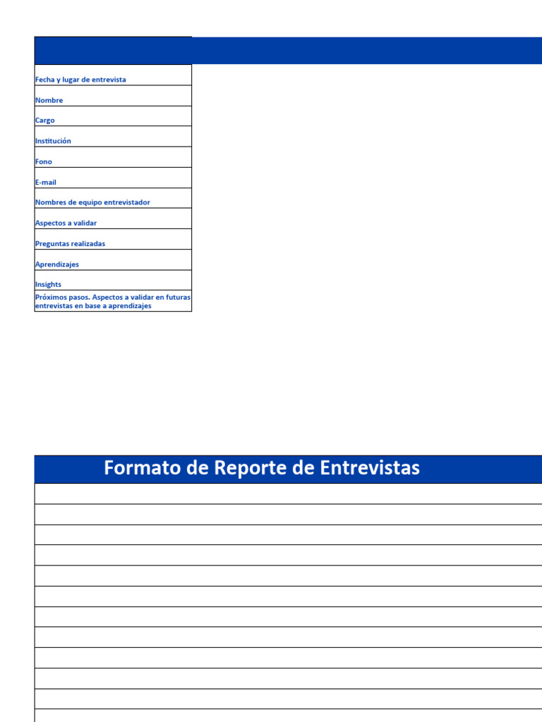 Formato Reportes De Entrevistas Customer Discovery Pdf