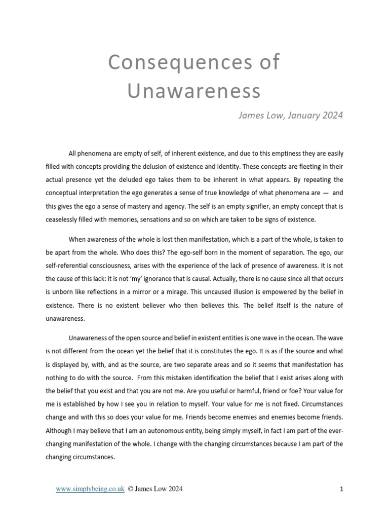 Article Consequences of Unawareness 04 02 2024 Webready | PDF ...