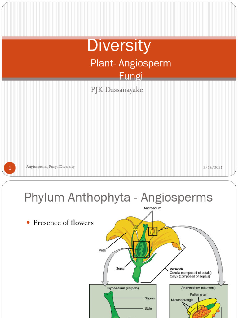 Diversity Angiosperms Fungi | PDF | Fungus | Mycology
