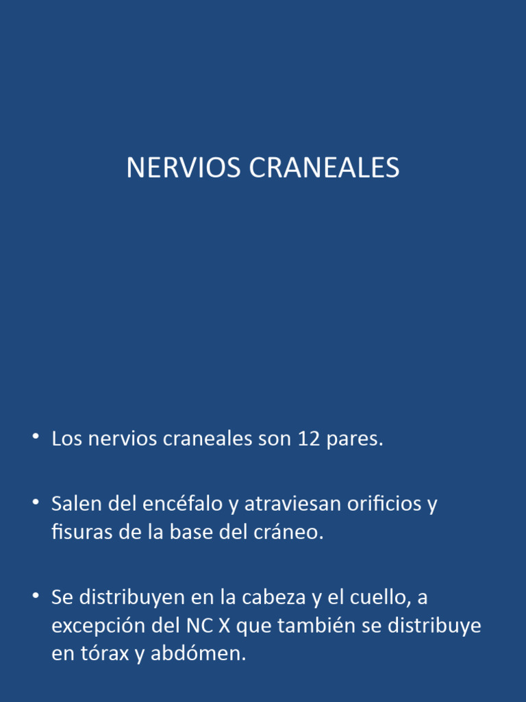 Guía de Nervios Craneales | PDF | Neuroanatomía | Sistema nervioso