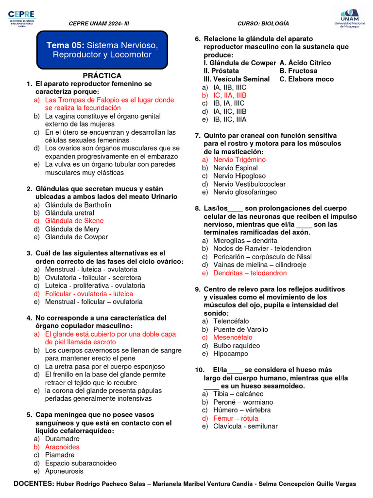 Practica 05 Cepreunam 2024-III (Clave) | PDF | Nervio | Músculo