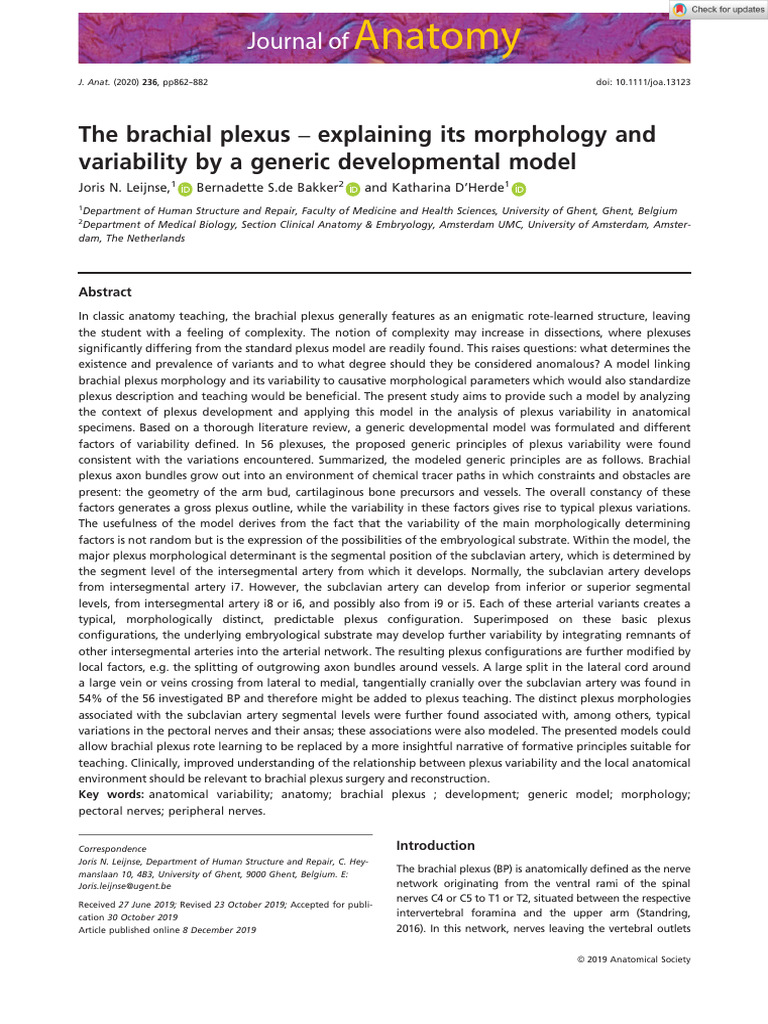 Journal of Anatomy - 2019 - Leijnse - The Brachial Plexus Explaining ...